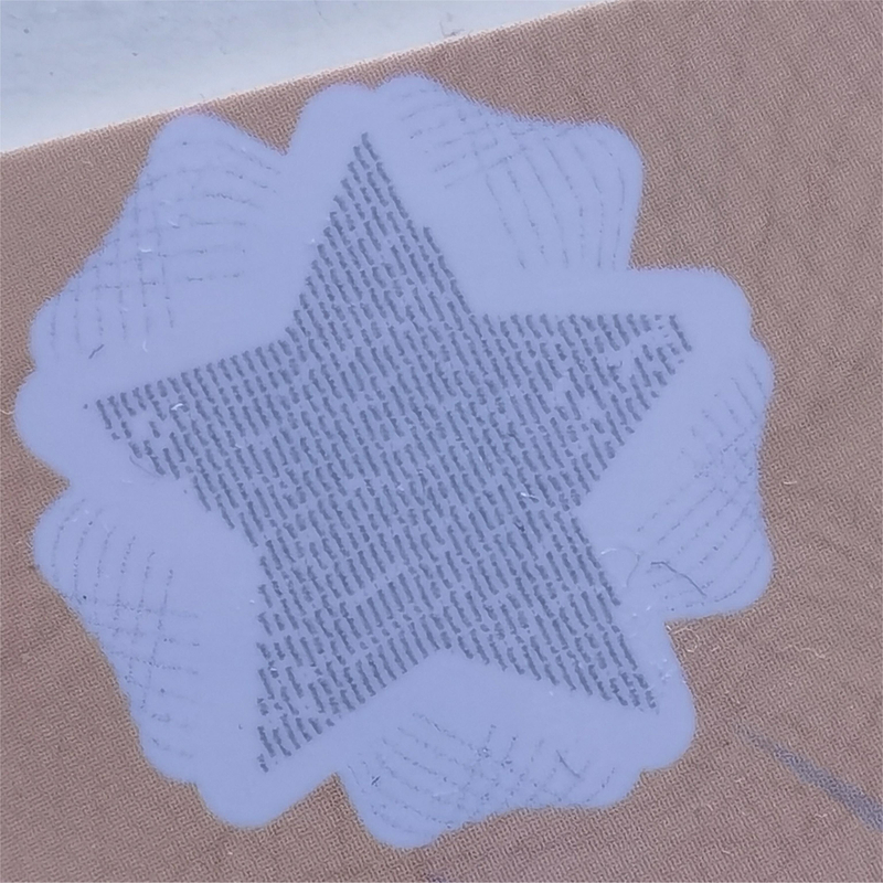 Customized Logo UV Light Microprinting Printing Plastic Security Card